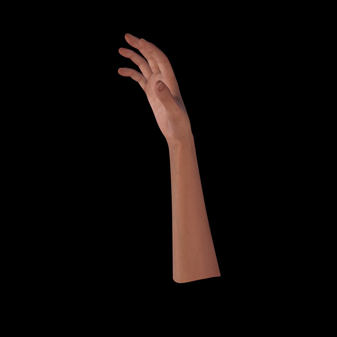 Human Hand Max