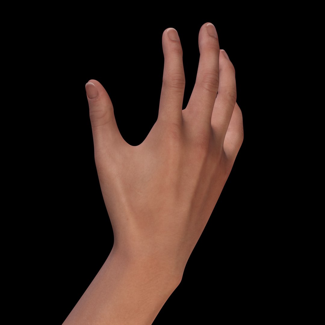 Human Hand Max