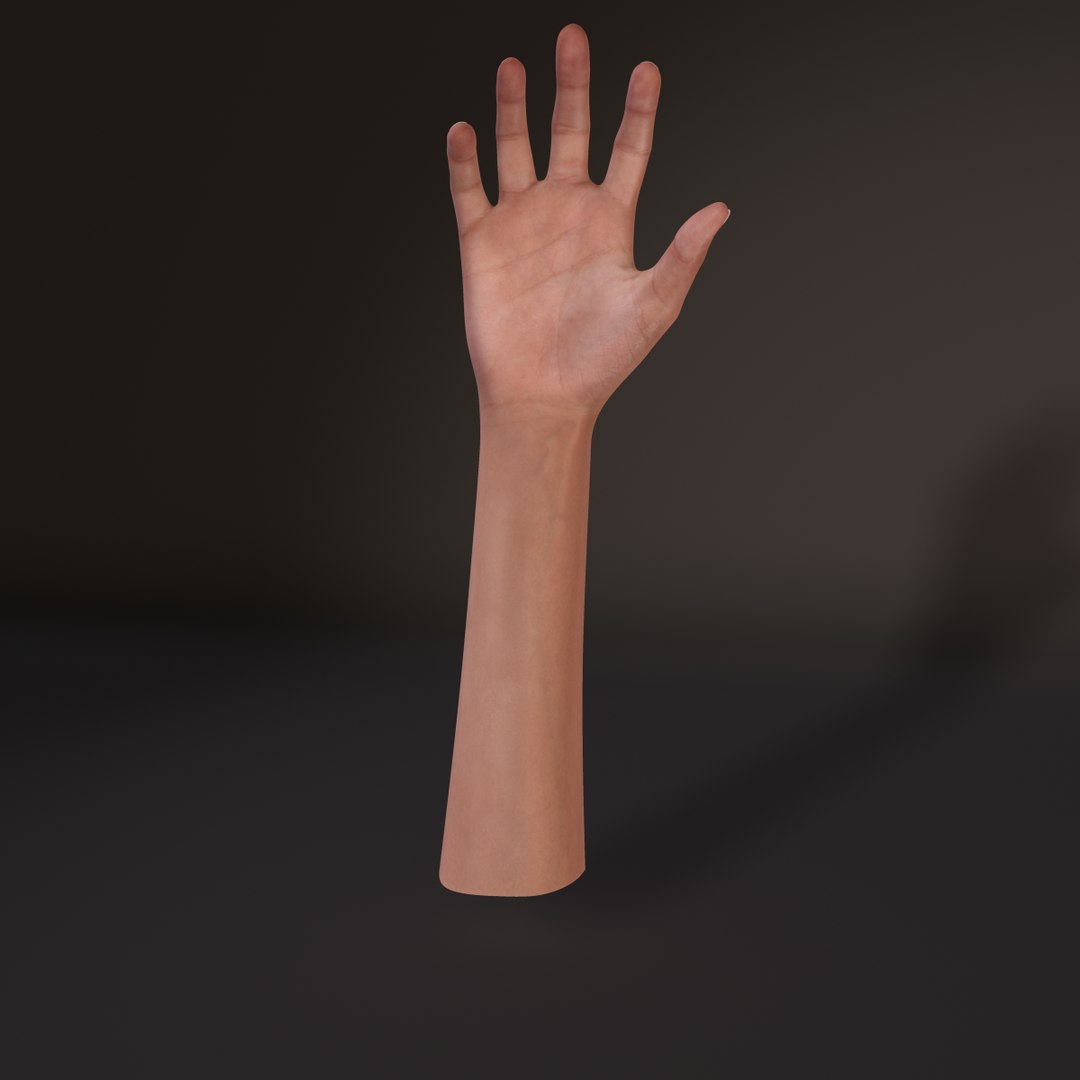 Human Hand Max