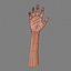 Human Hand Max