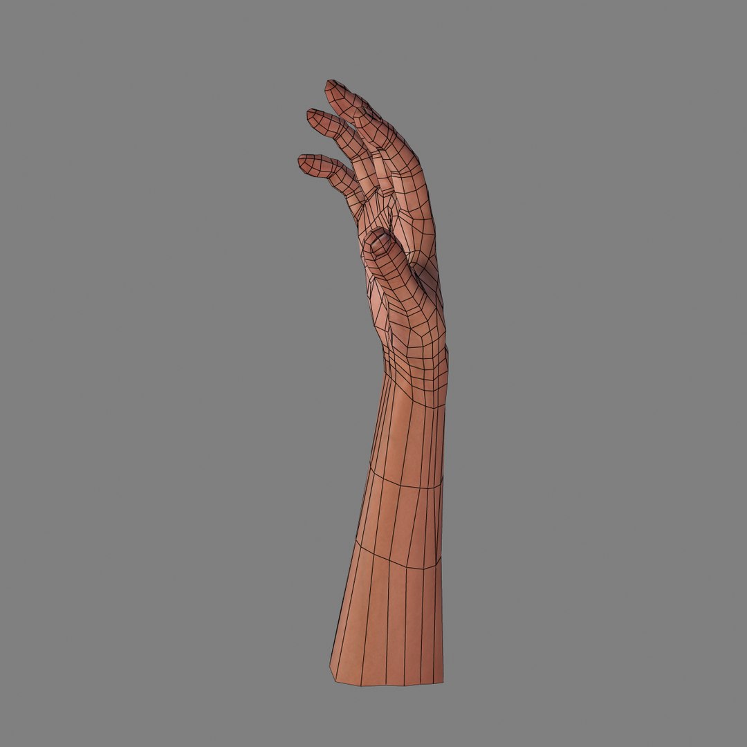 Human Hand Max