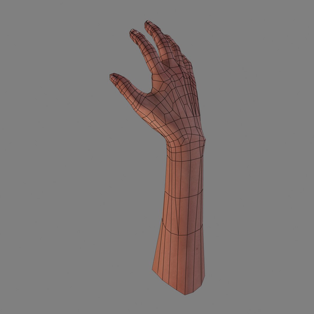 Human Hand Max