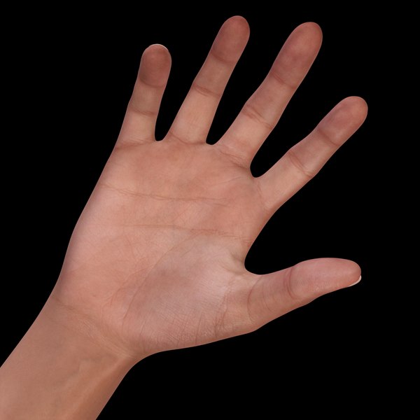 human hand max