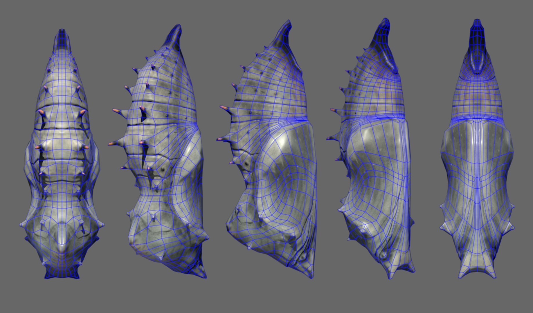 Chrysalis 3D - TurboSquid 1402071