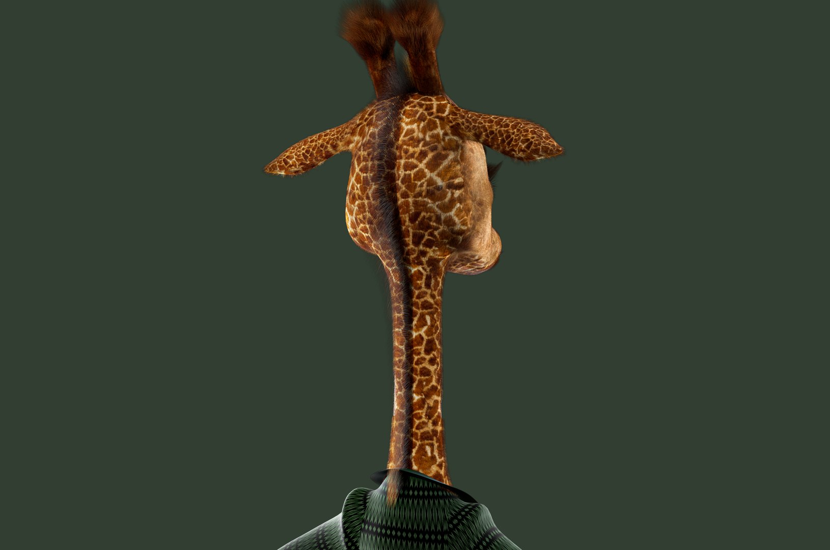 Cartoon Giraffe Rigged 3D Model - TurboSquid 2006634