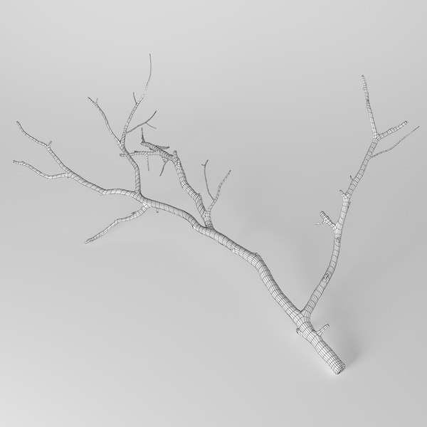 branch decoration 3d model