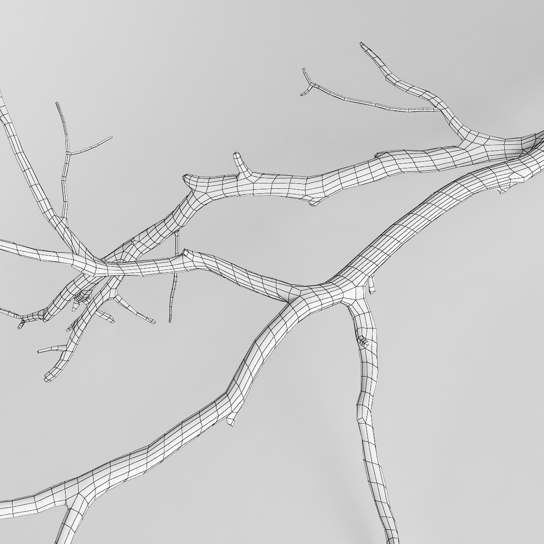 Branch Decoration 3d Model