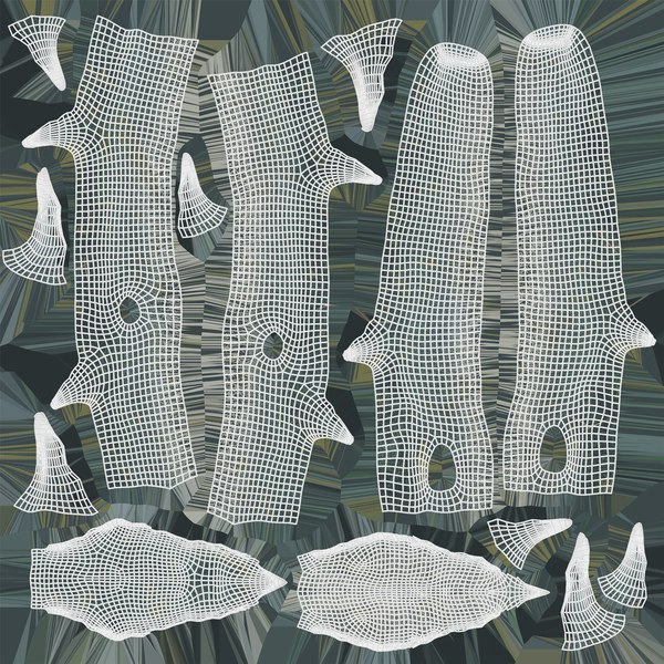 Leviathan Creature 3D model - TurboSquid 1975190