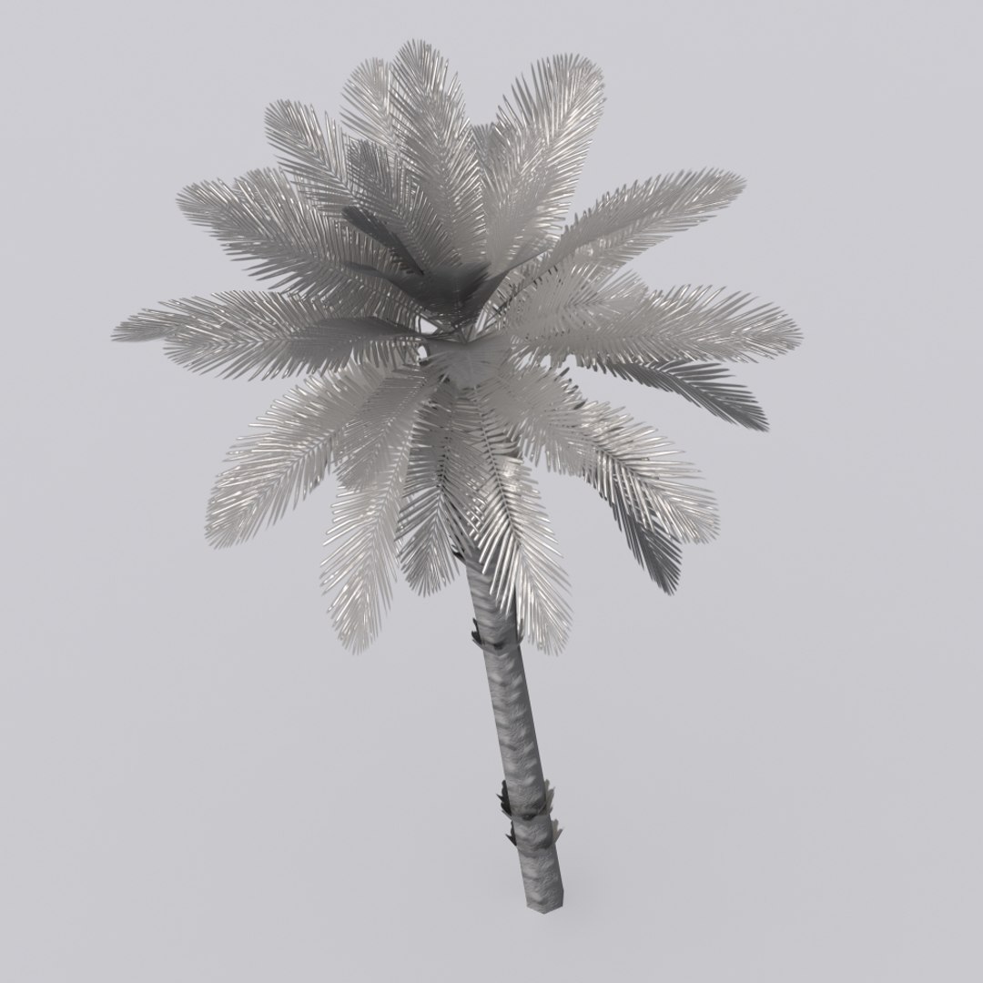 3d Model Date Palm Tree