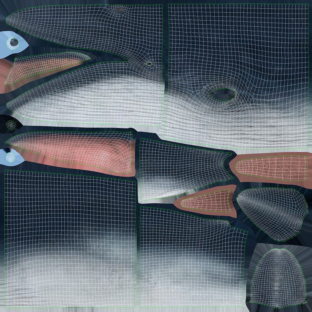 3D model Blue Whale Static - TurboSquid 2006143