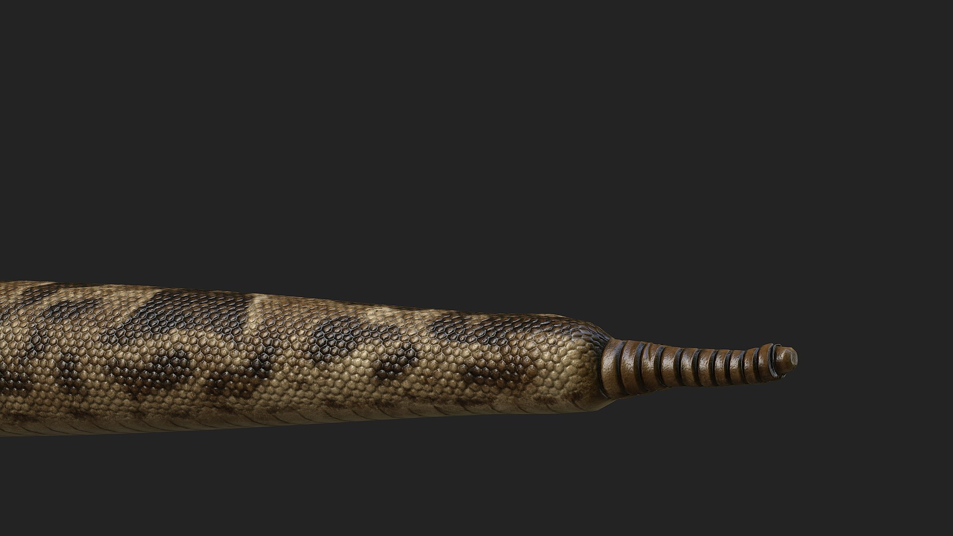 Unity Rattlesnake Model - TurboSquid 1514407