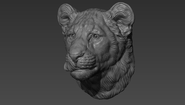 3D Lion cub head model - TurboSquid 1811370