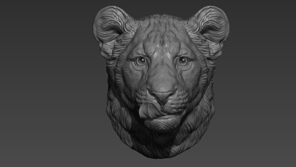 3D Lion cub head model - TurboSquid 1811370