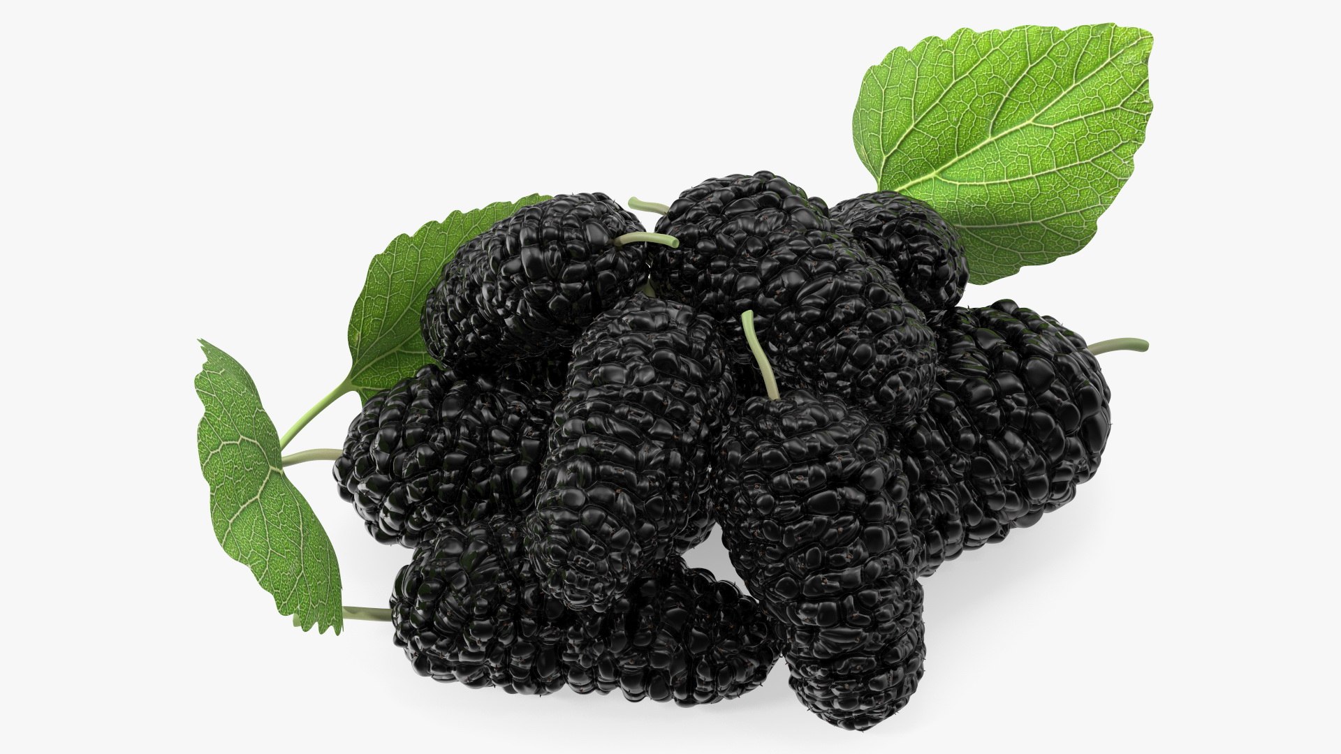 Pile of Mulberry Fruit Black3Dモデル - TurboSquid 1942214