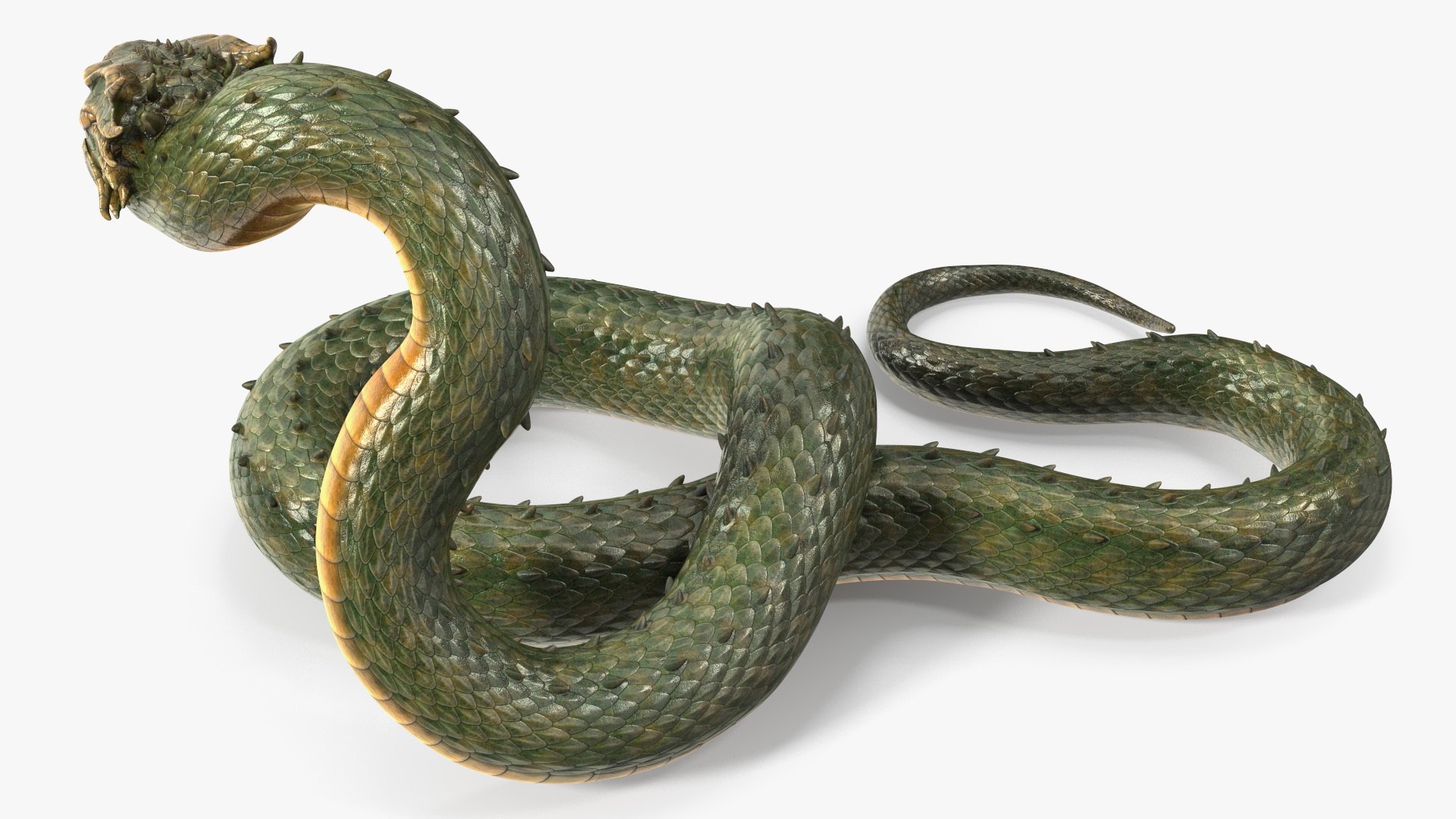 Serpentine Dragon Creature 3D - TurboSquid 2212766