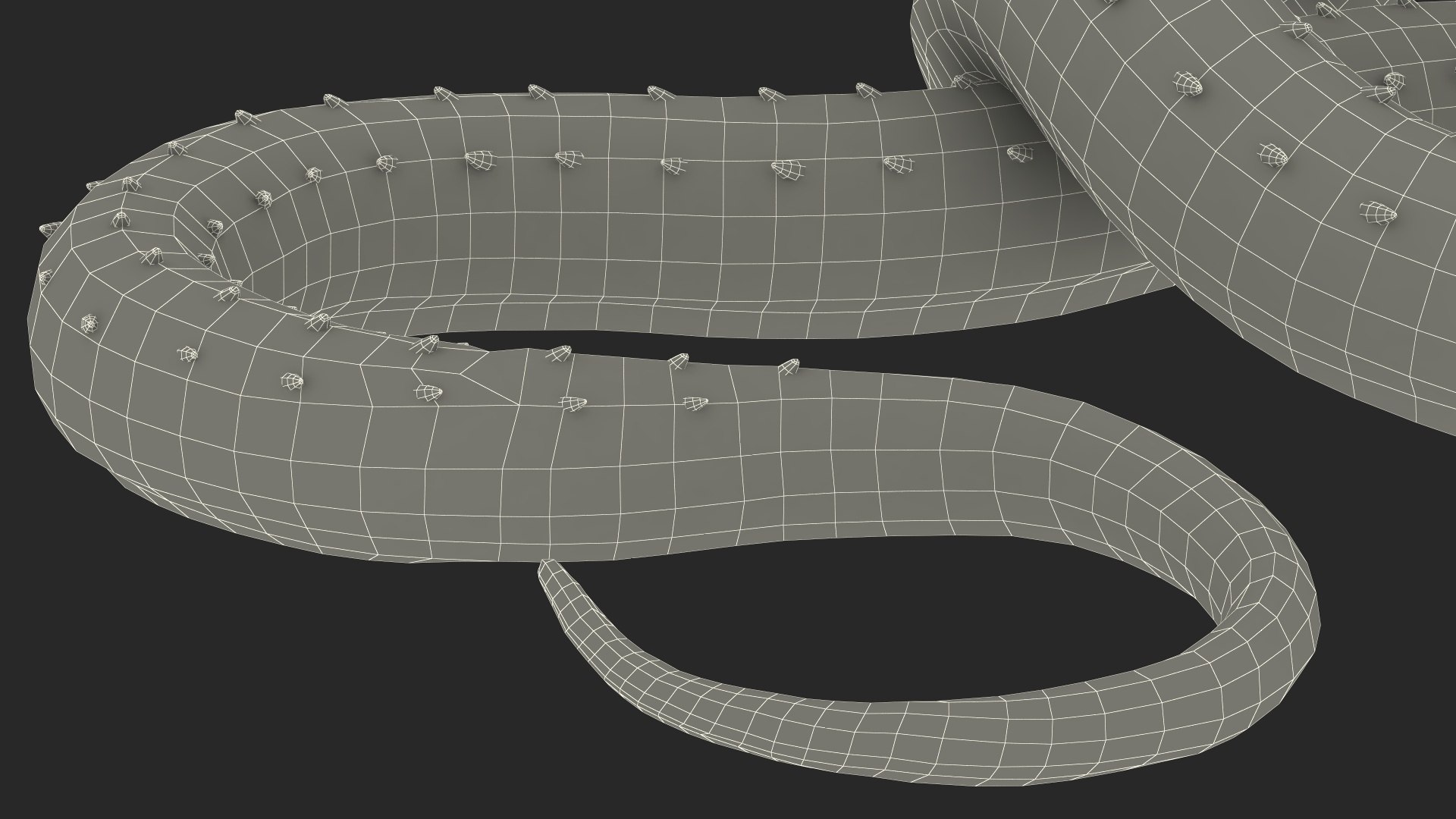 Serpentine Dragon Creature 3D - TurboSquid 2212766