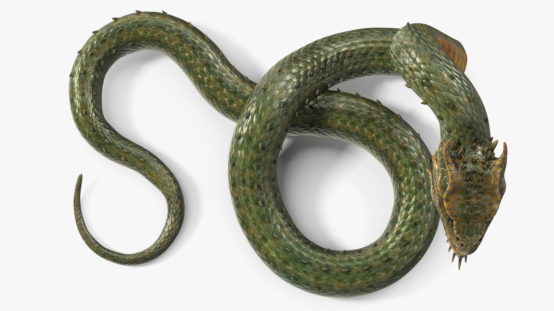 Serpentine Dragon Creature 3D - TurboSquid 2212766