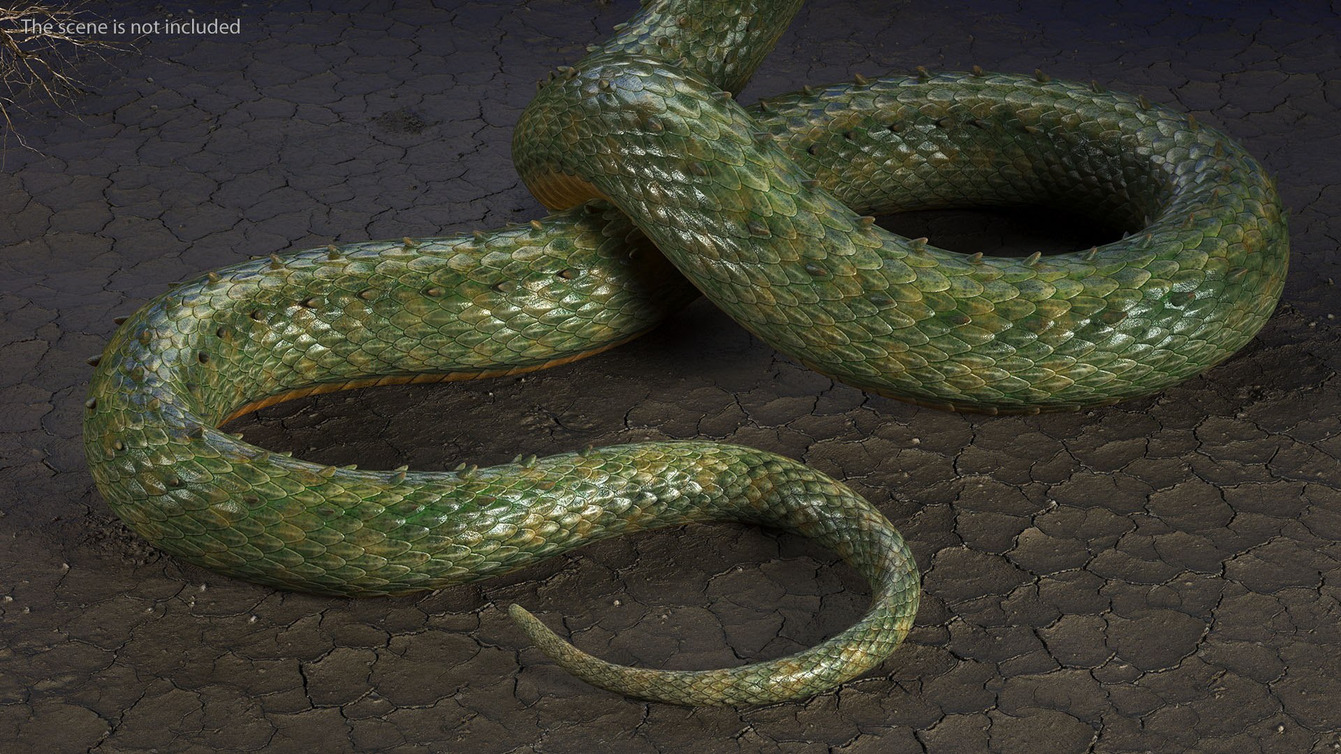 Serpentine Dragon Creature 3D - TurboSquid 2212766