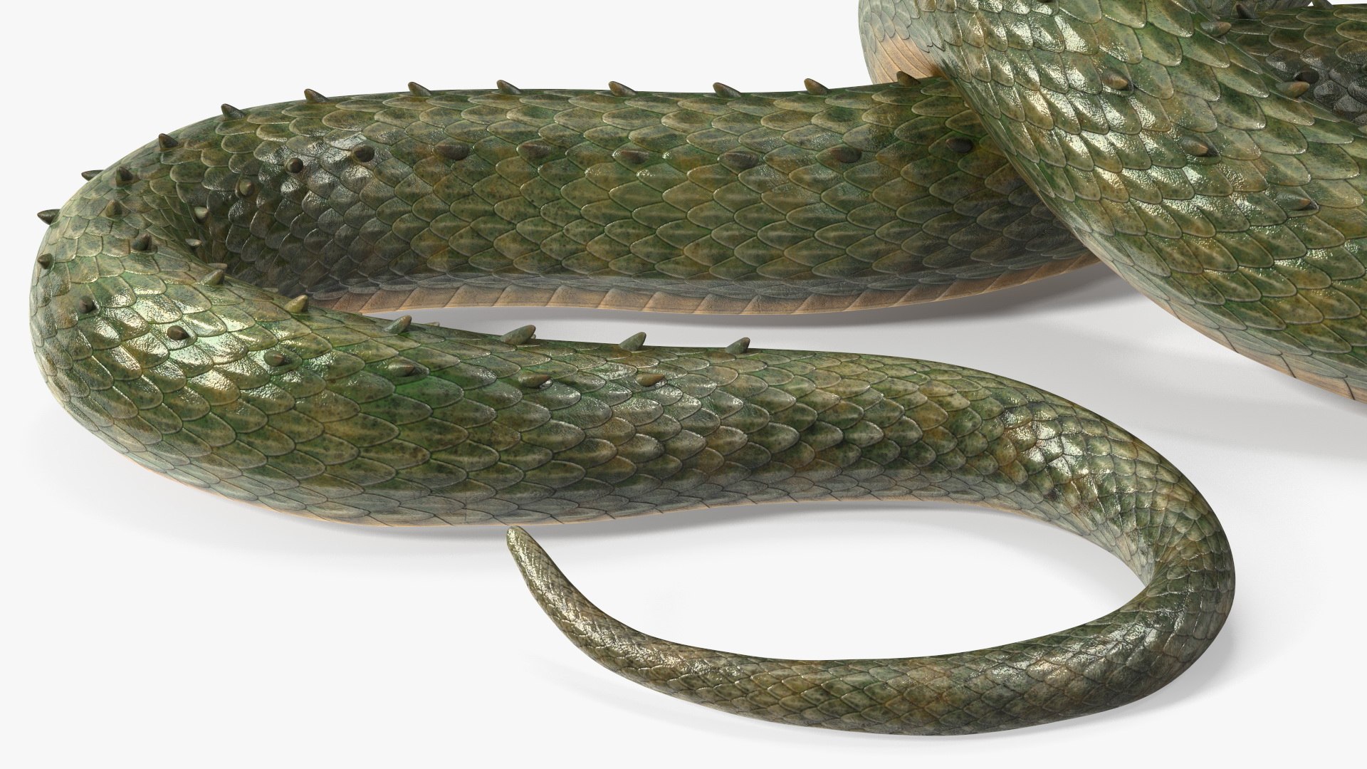 Serpentine Dragon Creature 3D - TurboSquid 2212766