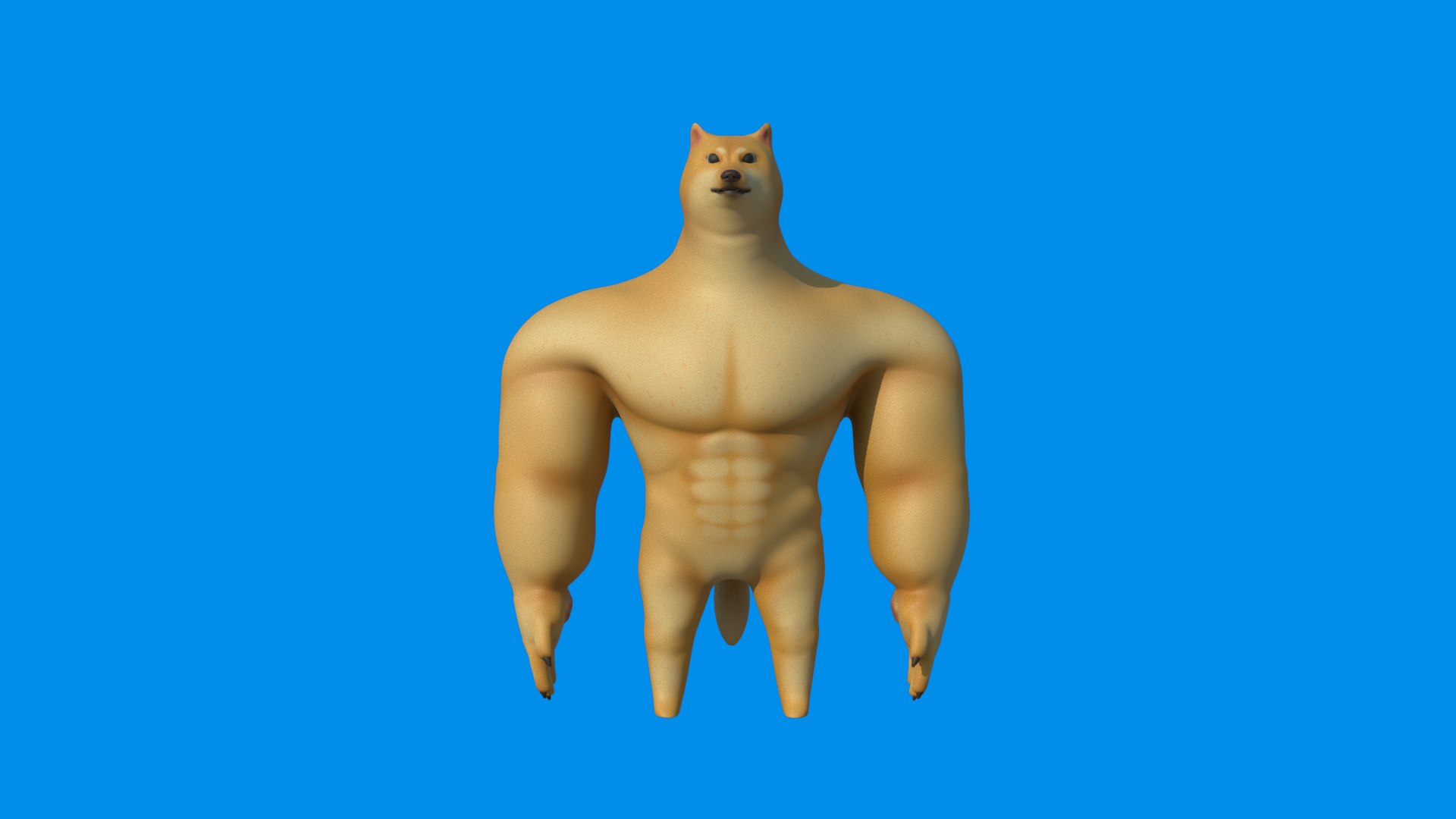 3D DOGE Model - TurboSquid 1742337