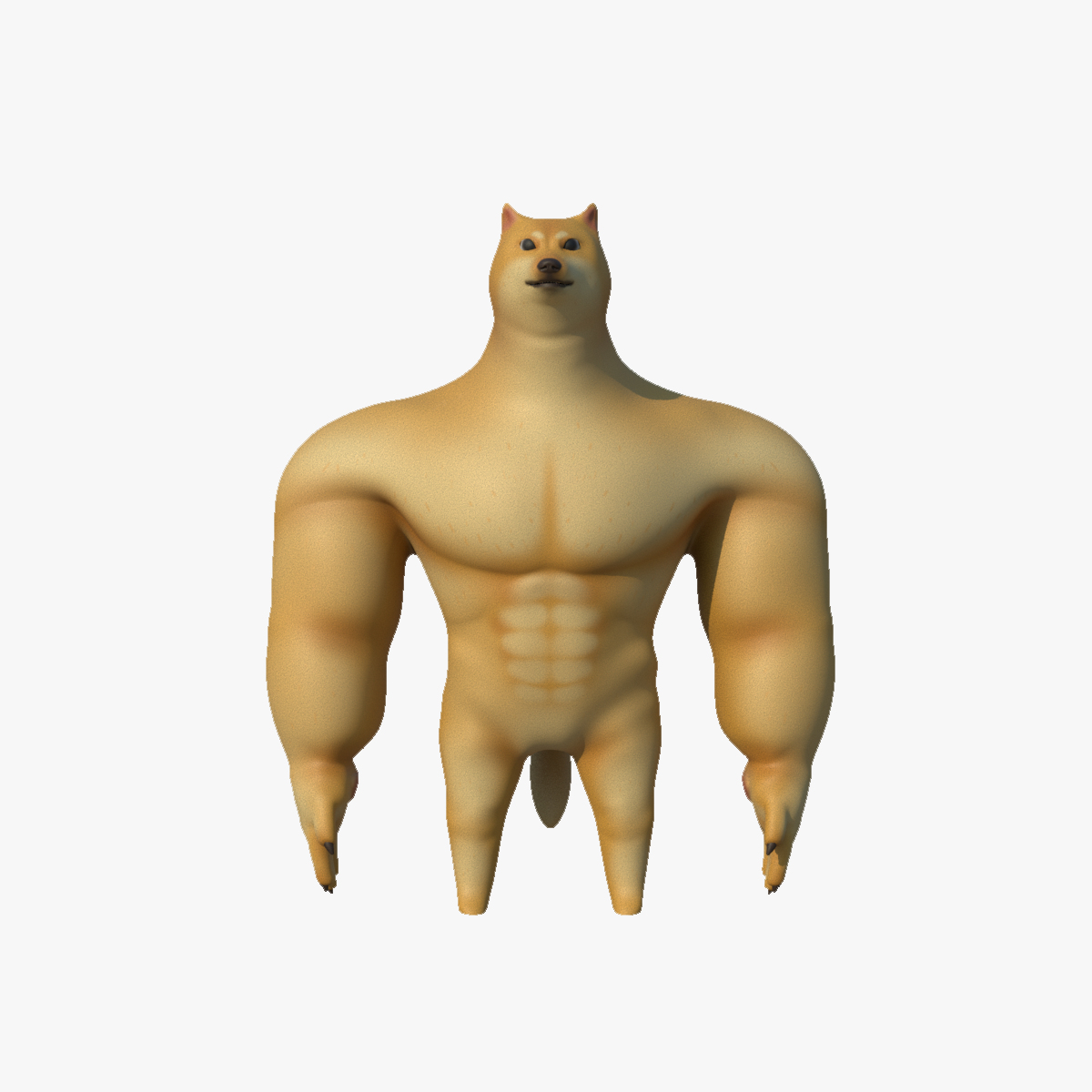 3D DOGE model - TurboSquid 1742337