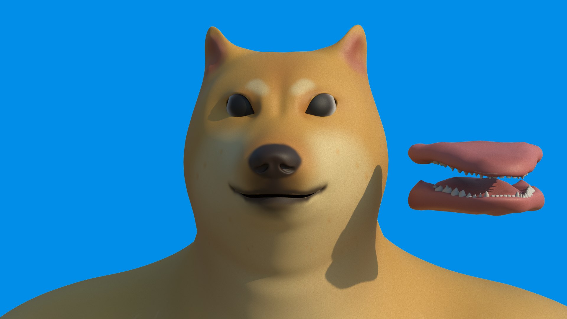 3D DOGE Model - TurboSquid 1742337