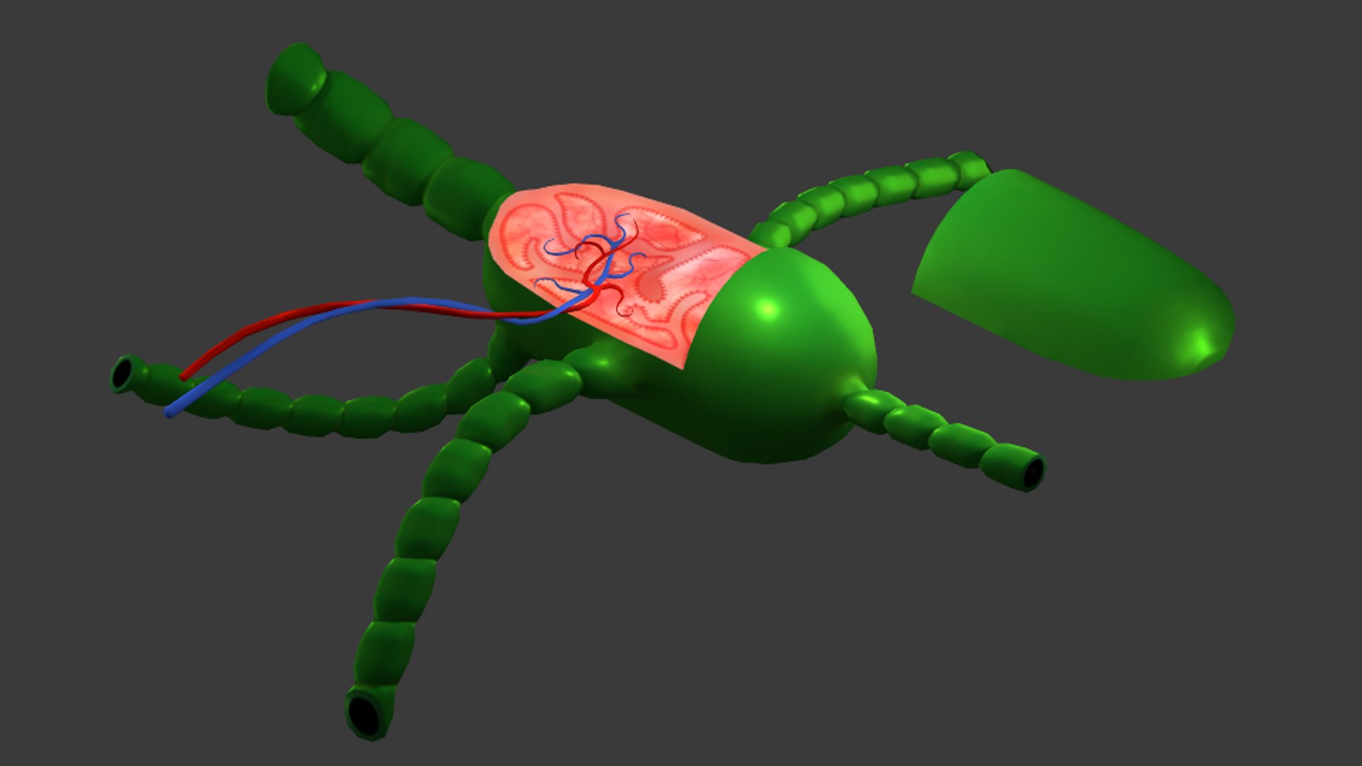 Lymph Node Human Anatomy Model - TurboSquid 1355971