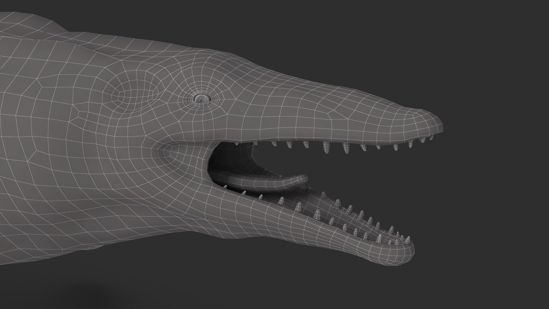 Mosasaurus reptiles 3D model - TurboSquid 1593773
