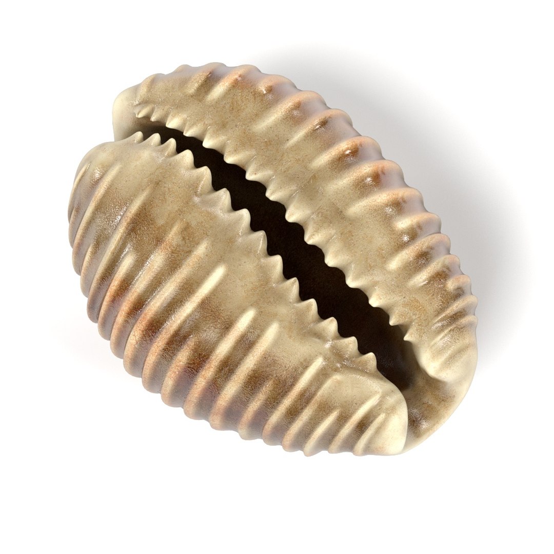 Pusula Pediculus 3ds