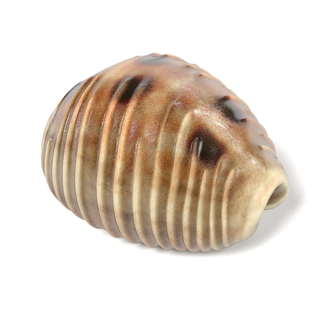 Pusula Pediculus 3ds