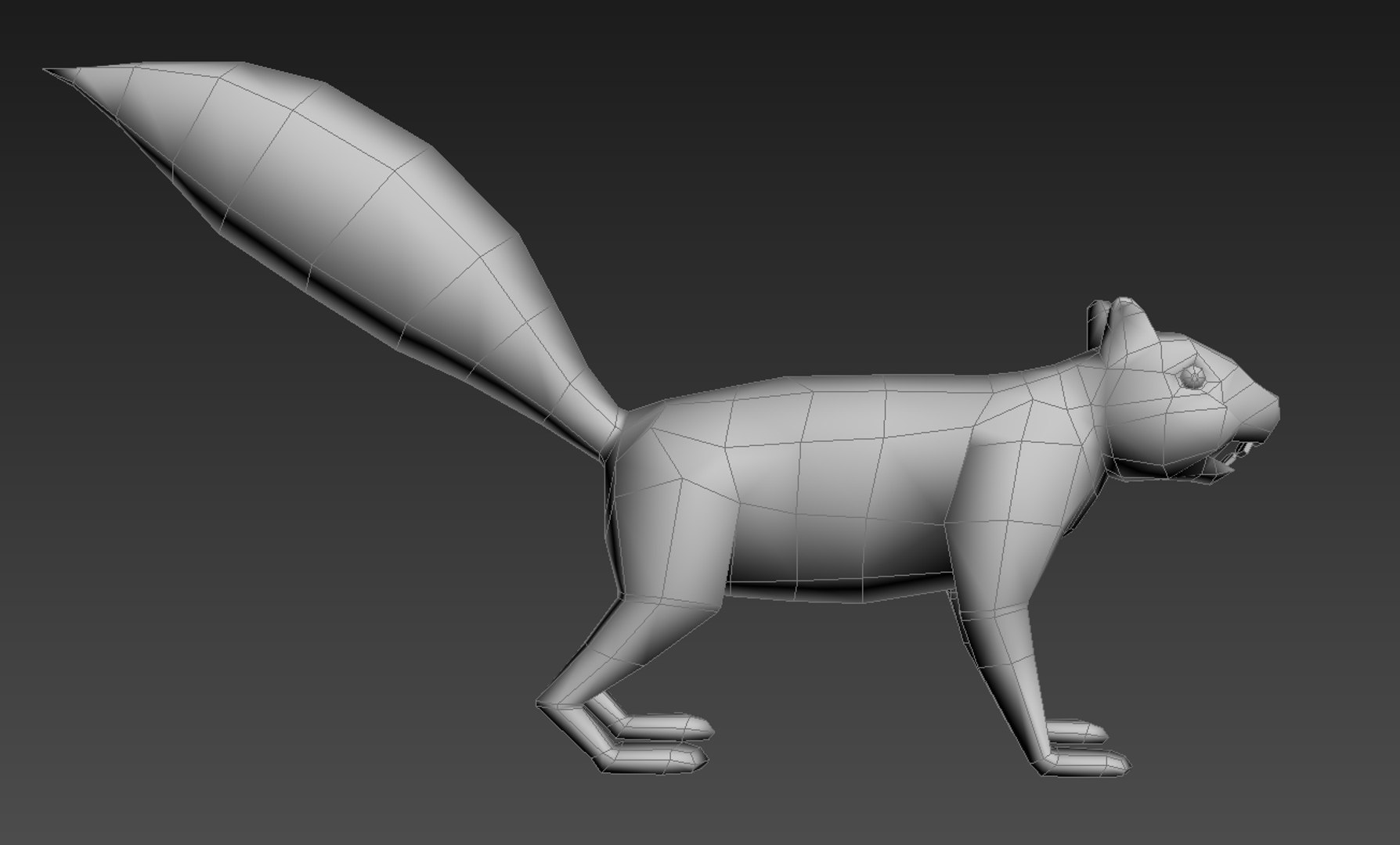 3d Model Squirrel