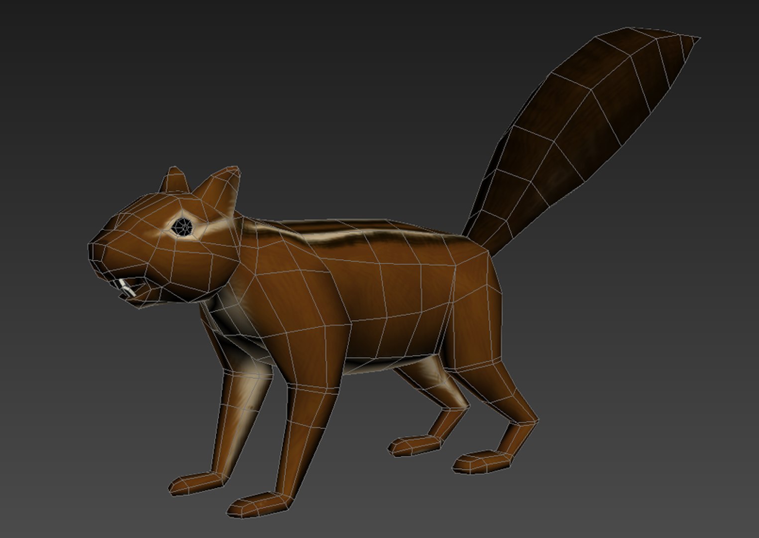 3d Model Squirrel