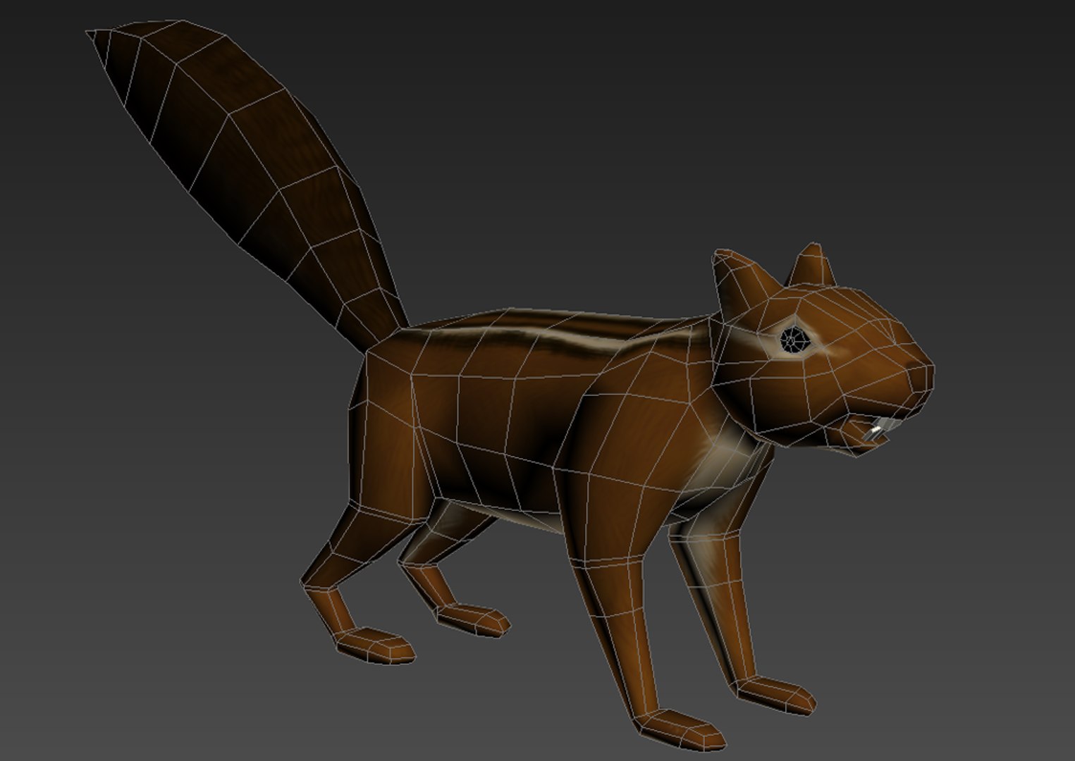 3d Model Squirrel