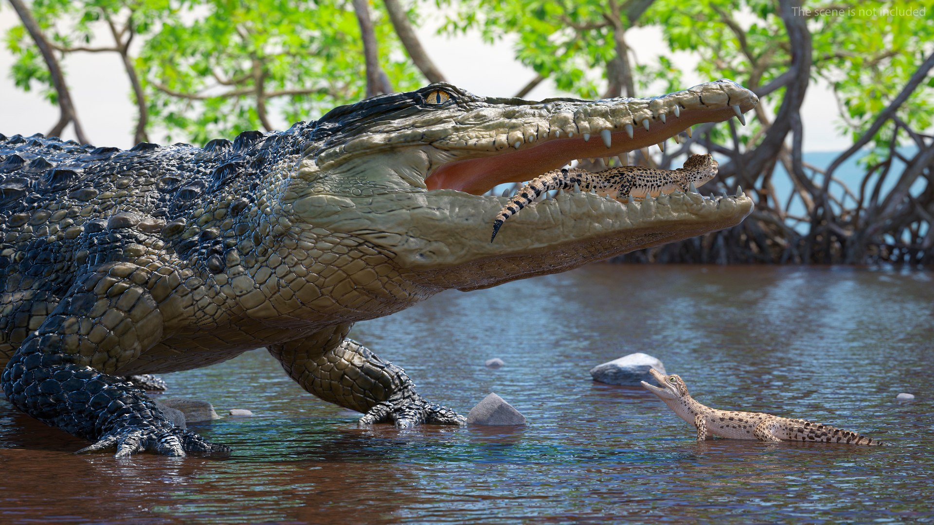 3D model Mother Crocodile Carrying Baby - TurboSquid 1896200