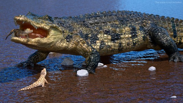 3D model Mother Crocodile Carrying Baby - TurboSquid 1896200