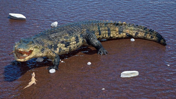 3D model Mother Crocodile Carrying Baby - TurboSquid 1896200