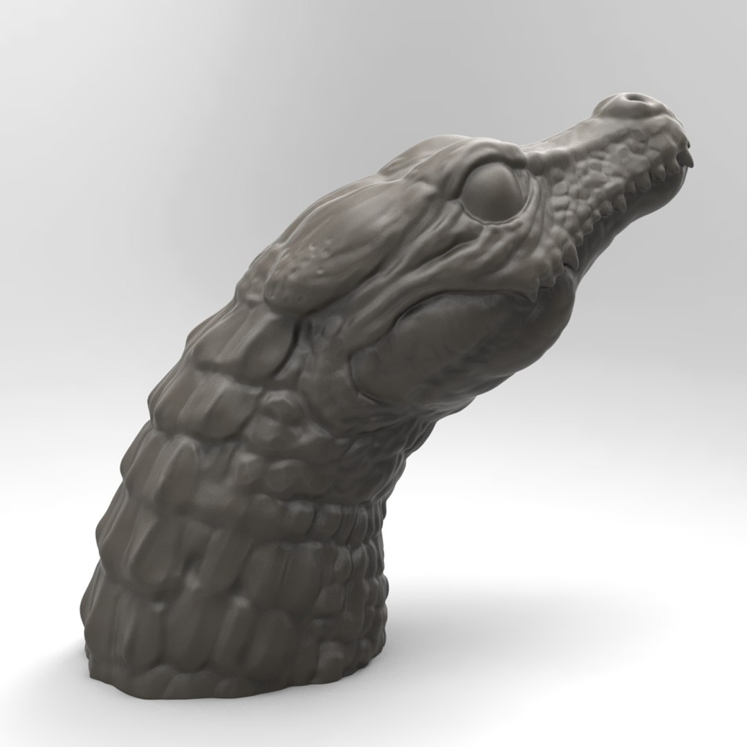 3d Crocodile Head Sculpture Model