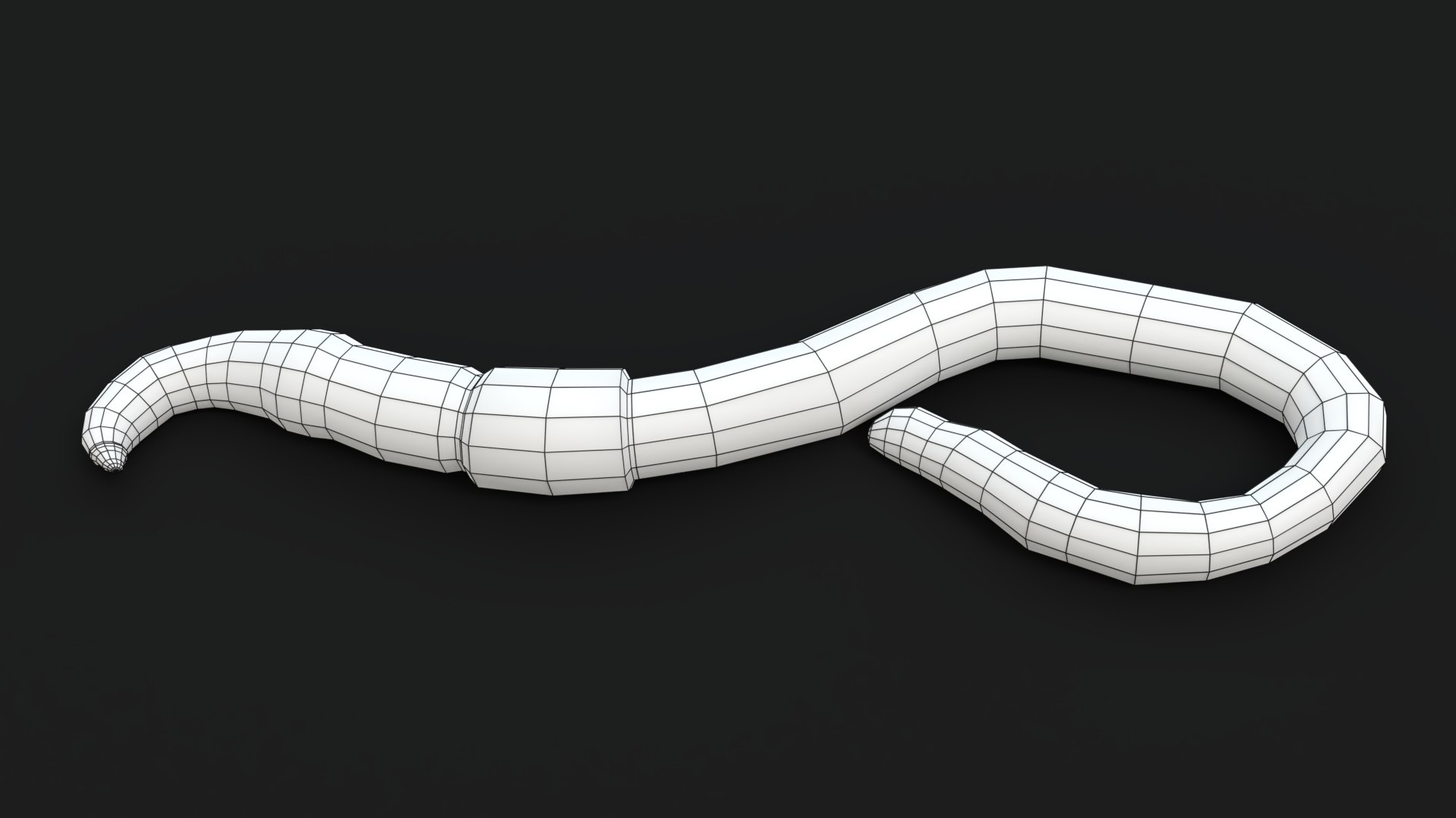 3D Earthworm Pbr Polys - TurboSquid 1521032