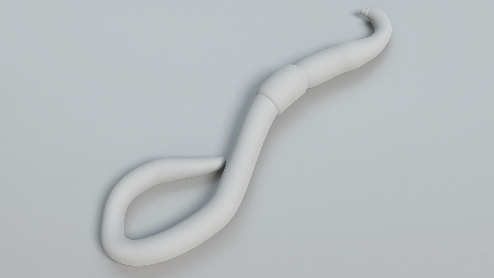 3D Earthworm Pbr Polys - TurboSquid 1521032