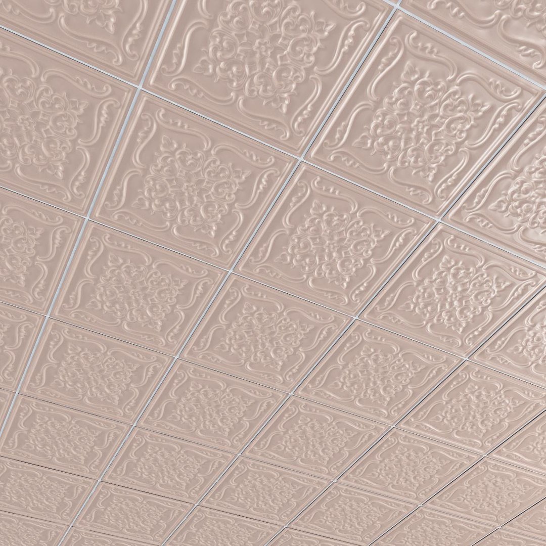 Max Ceiling Cover Pvc
