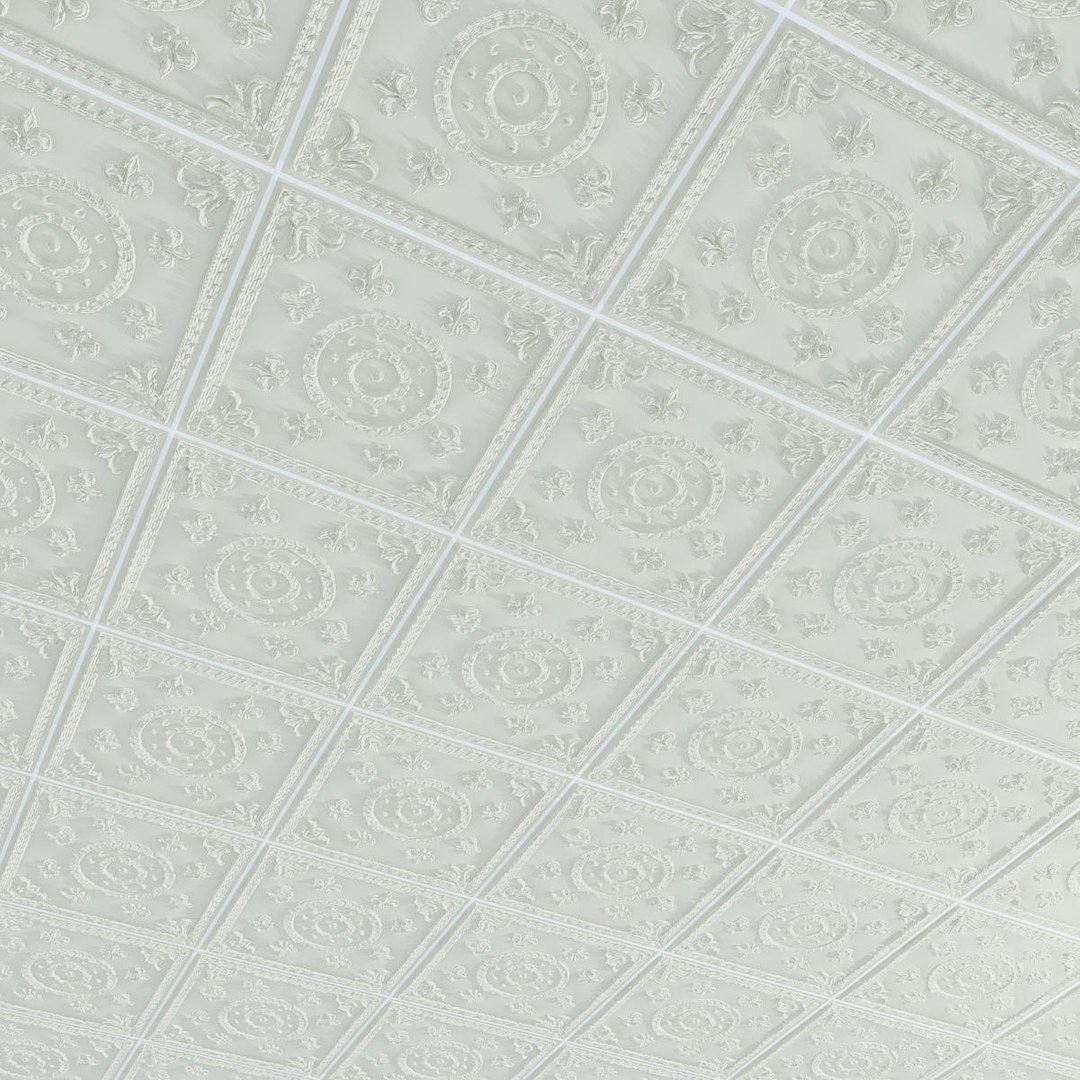 Max Ceiling Cover Pvc