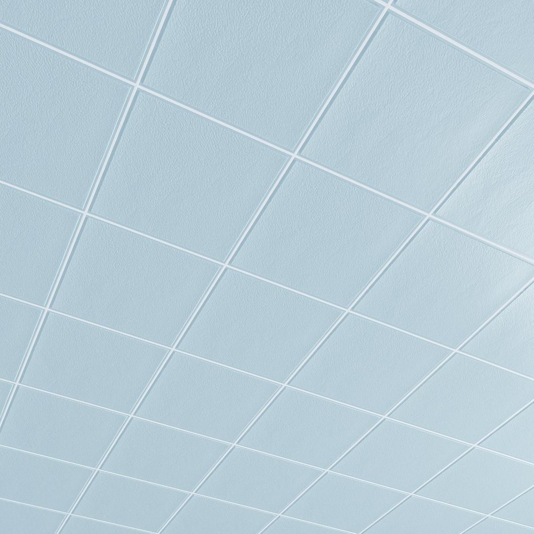 Max Ceiling Cover Pvc