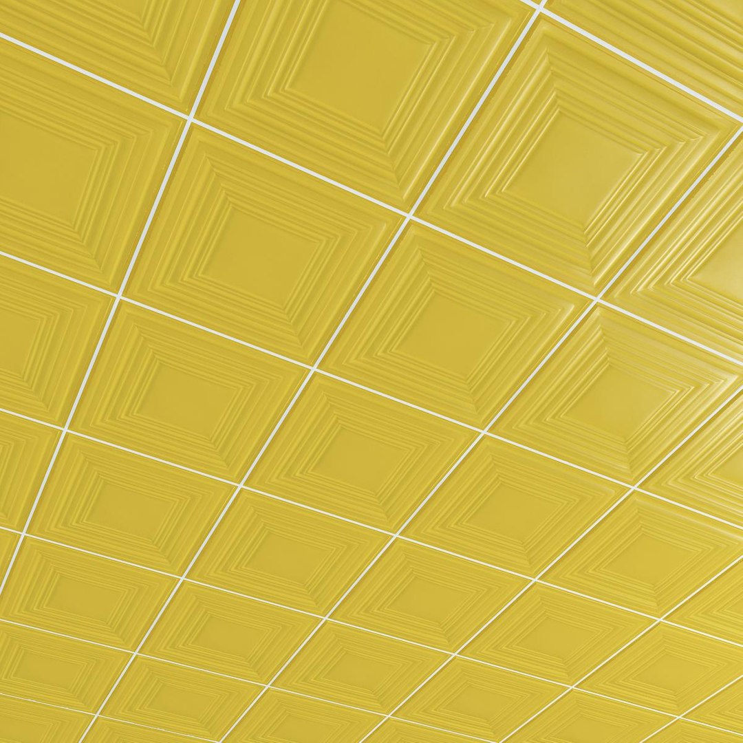 Max Ceiling Cover Pvc