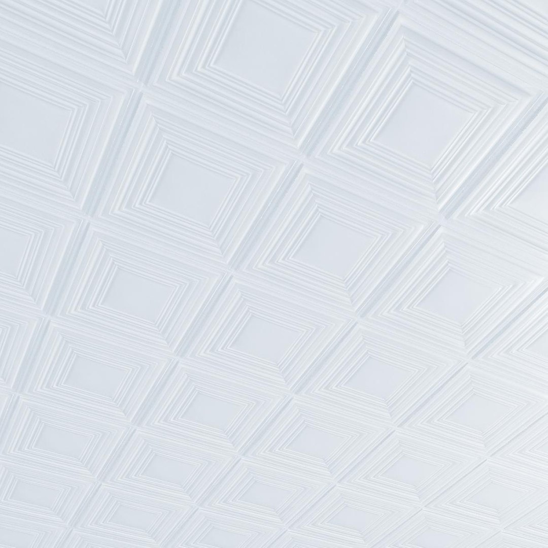 Max Ceiling Cover Pvc