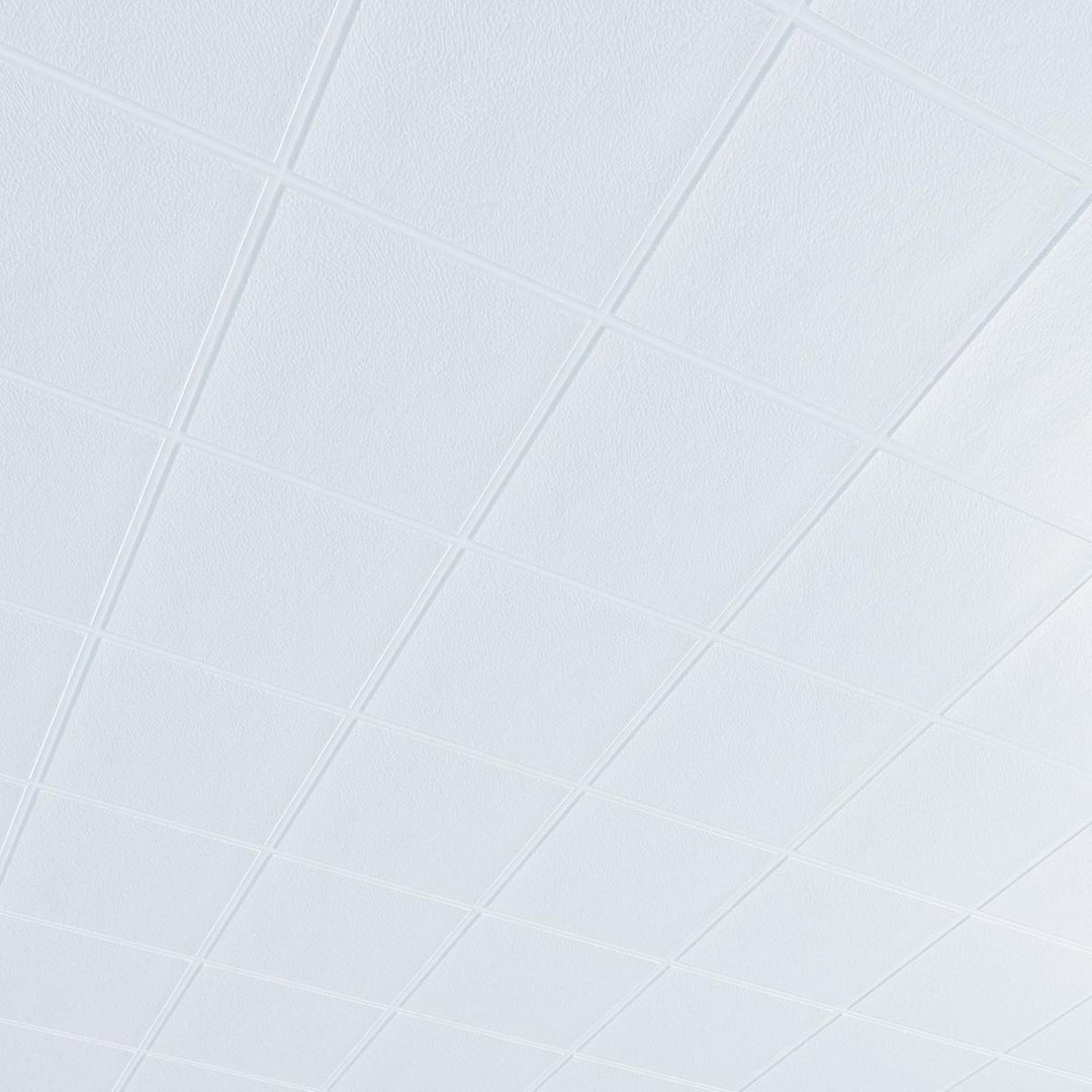 Max Ceiling Cover Pvc