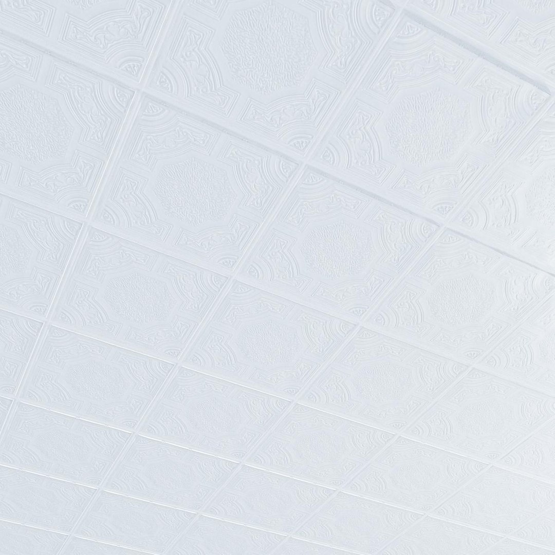 Max Ceiling Cover Pvc