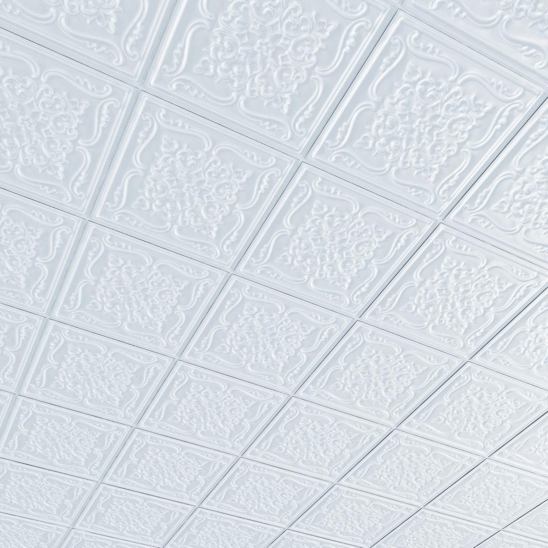 Max Ceiling Cover Pvc