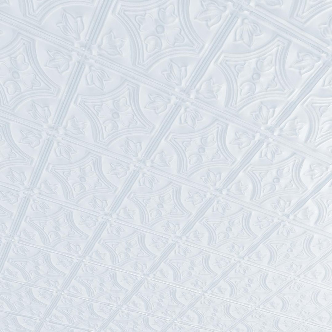 Max Ceiling Cover Pvc