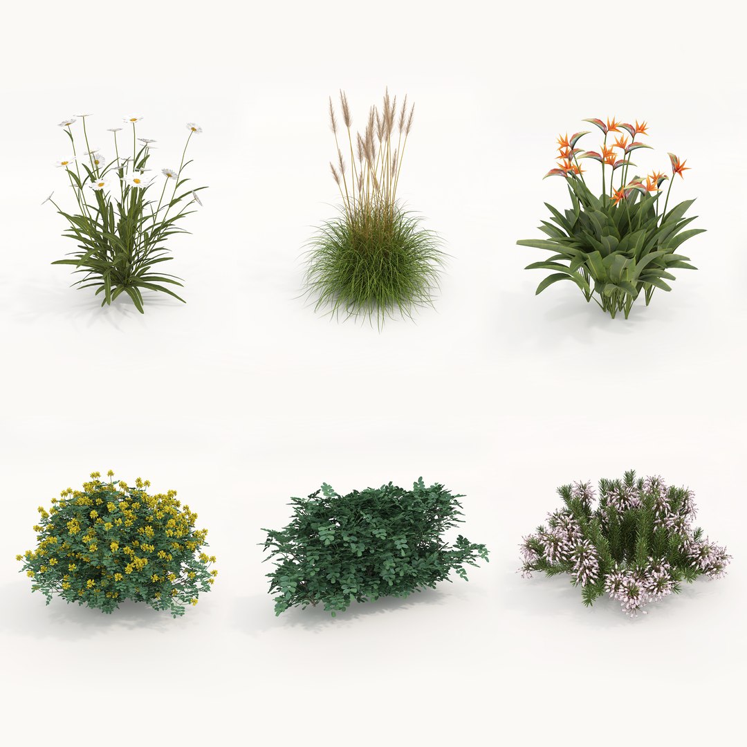 3D Realistic Shrub Bush Set 4 model - TurboSquid 2030597