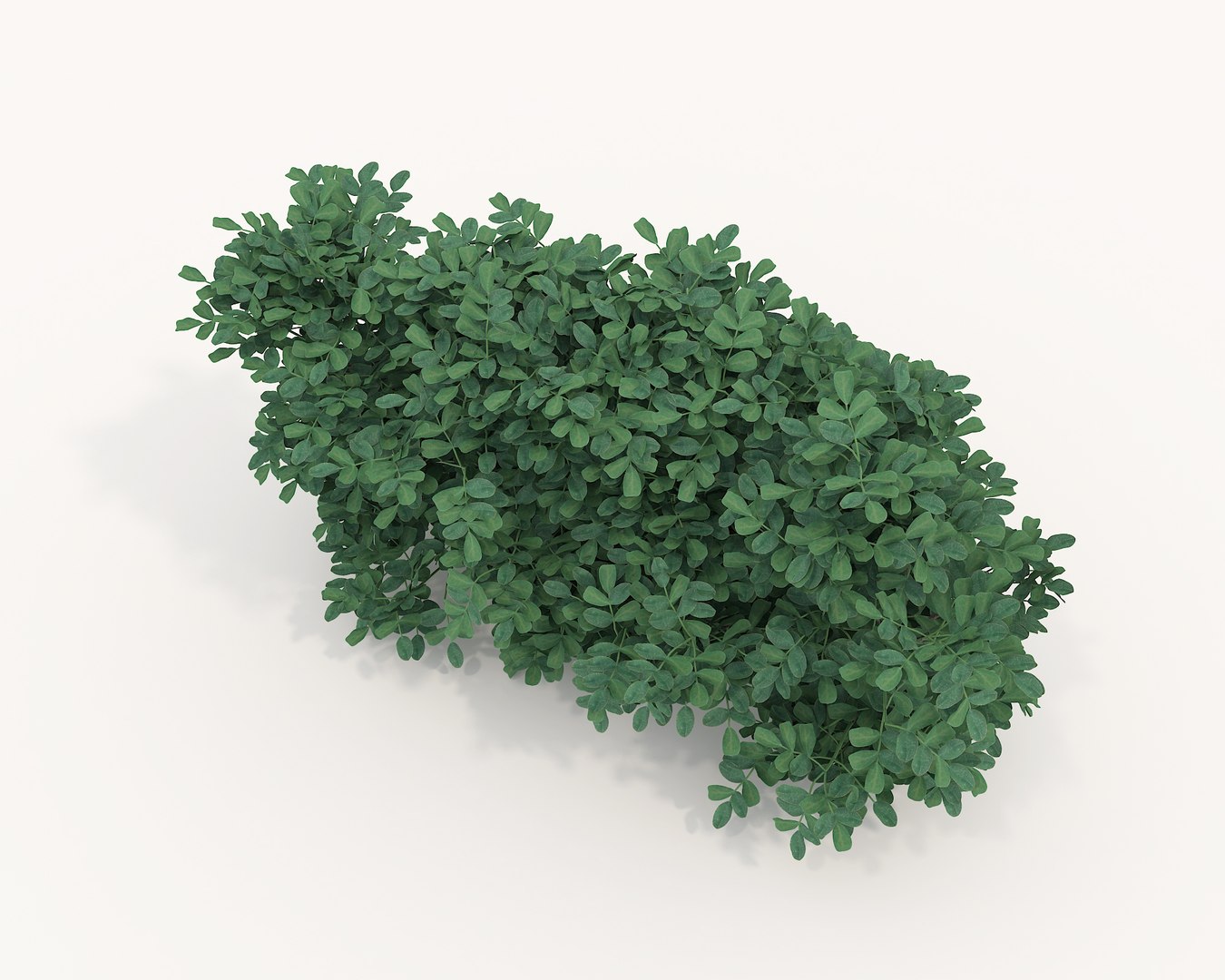 3D Realistic Shrub Bush Set 4 model - TurboSquid 2030597
